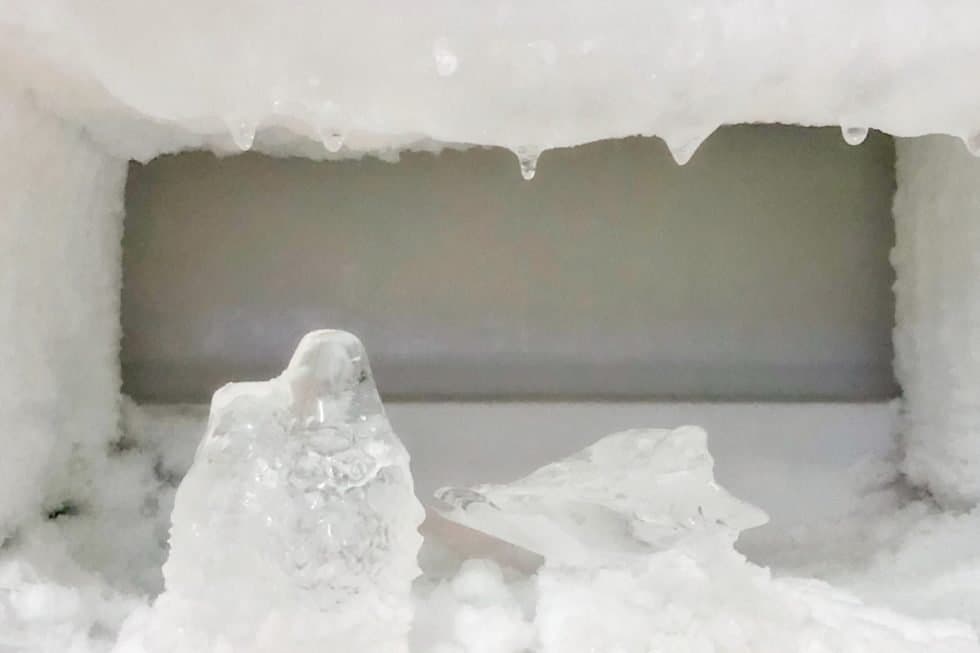 Freezer Icing Up? (Here’s How To Fix It) – Pro Line Appliance